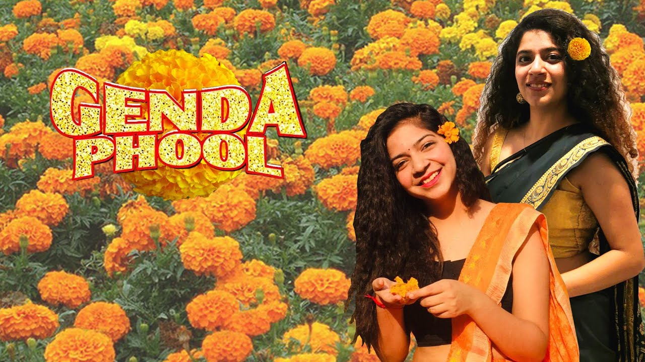 Badshah - Genda Phool |Dance Choreography| Jacqueline Fernandez |Payal ...
