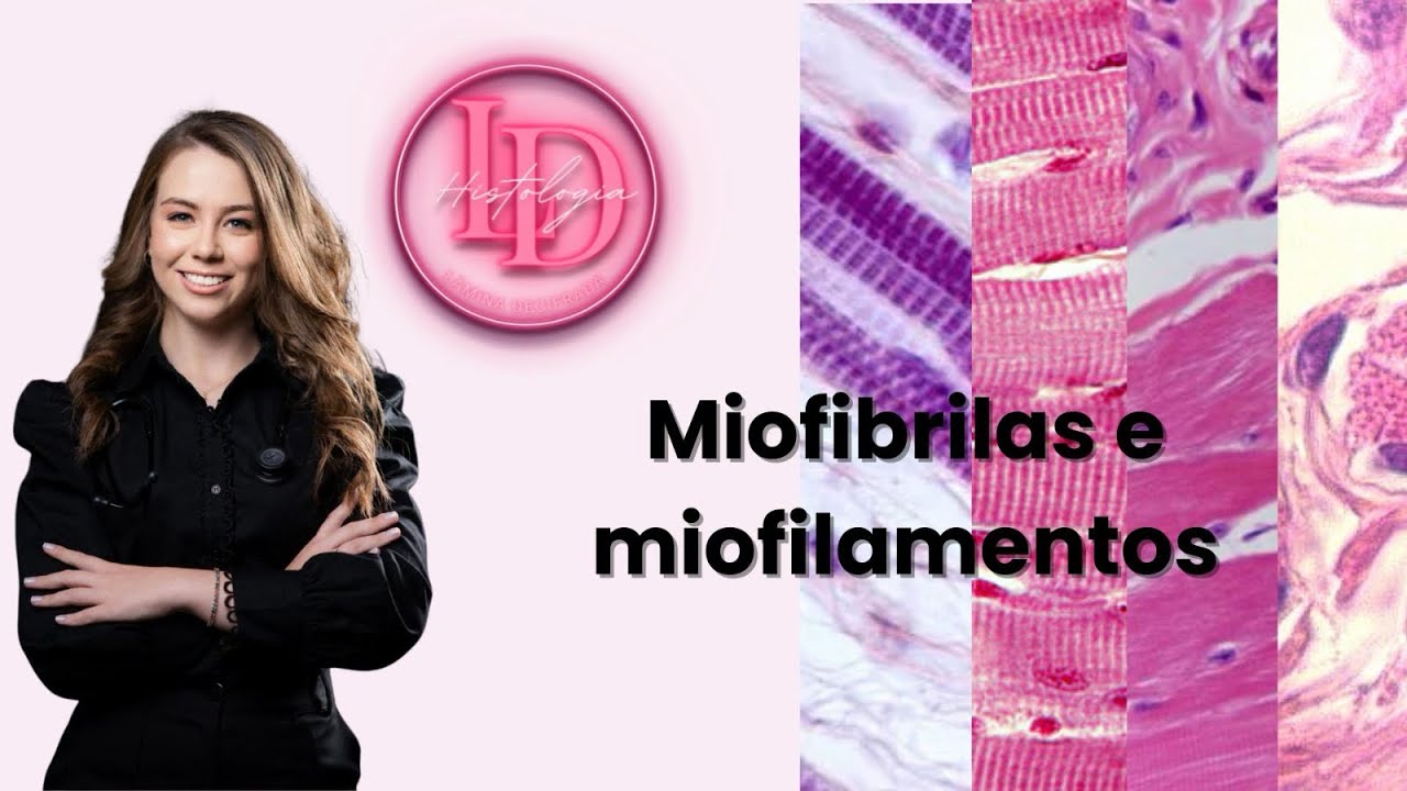 Miofibrilas e miofilamentos - YouTube