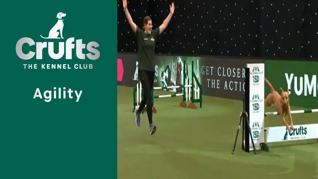 Agility - Crufts Medium ABC and Intermediate/Large Novice ABC Final ...
