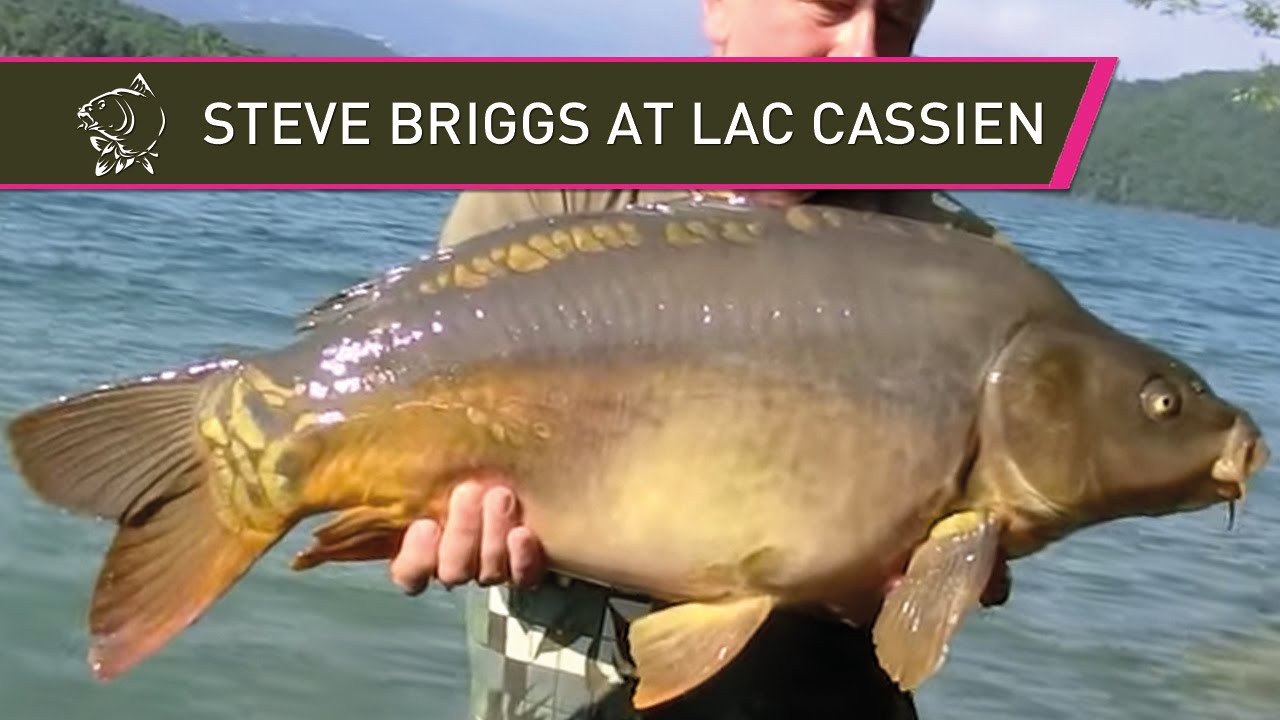 Carp Fishing Steve Briggs Blog 1 Summer 2013 at Lac Cassien France Nash ...