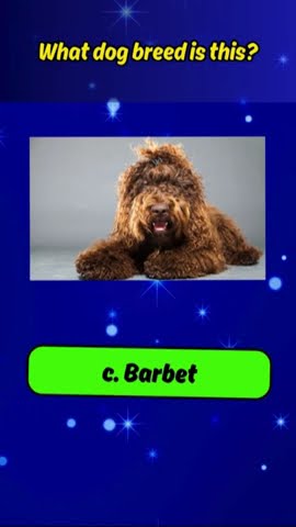 Trivia Quiz Part 210 #quiz - YouTube