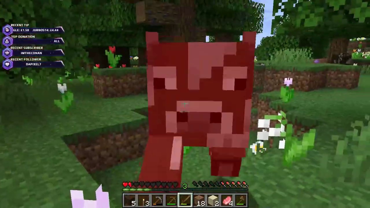 How Do You Attract Sheep? | Vanilla Minecraft #3 - YouTube