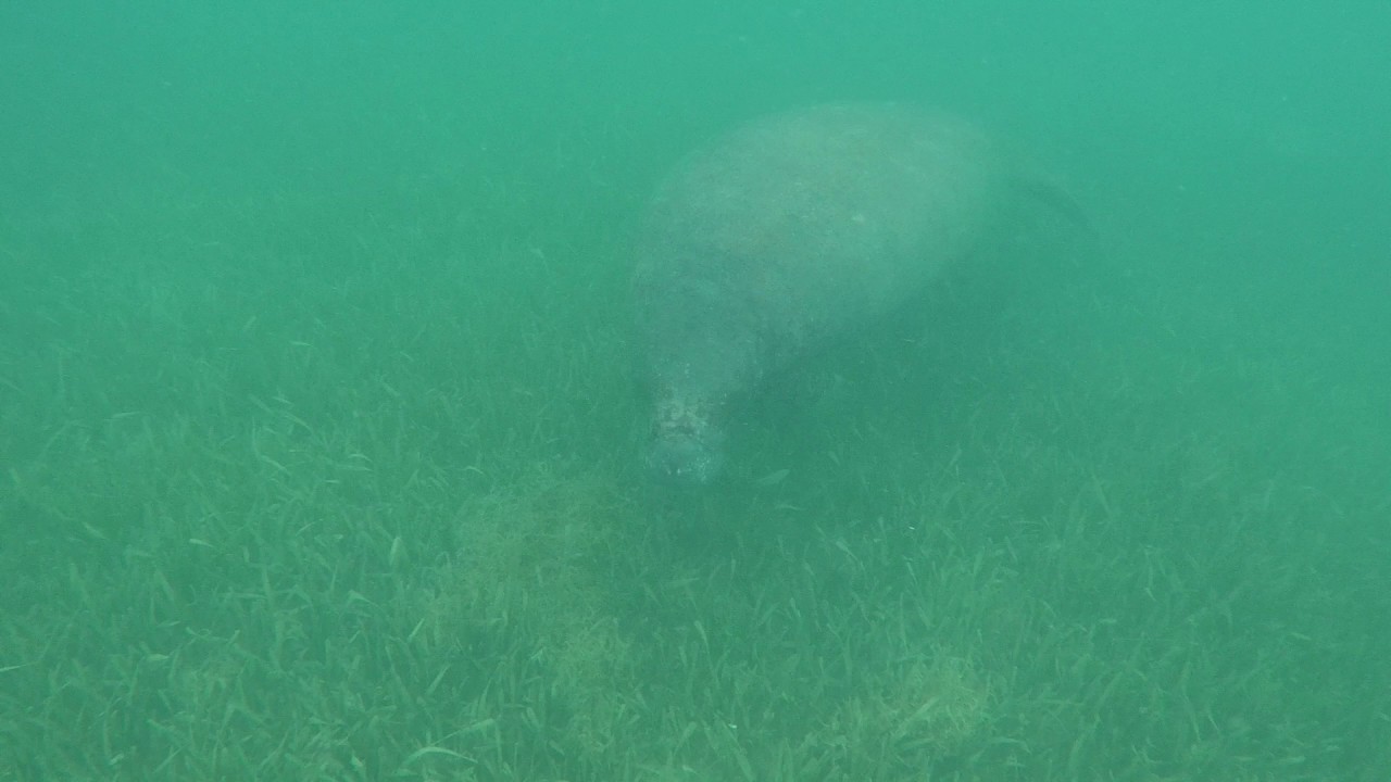 Lamentin au Belize - YouTube