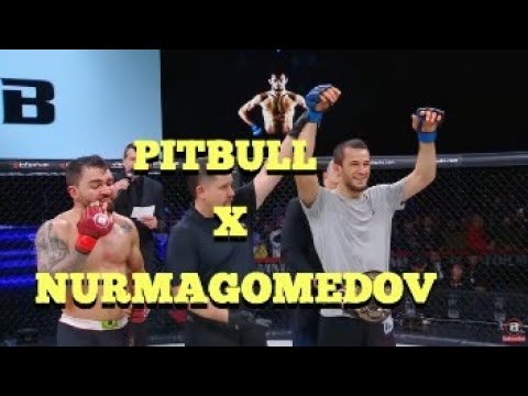 Usman Nurmagomedov x Patrick Pitbull | Melhores Momentos