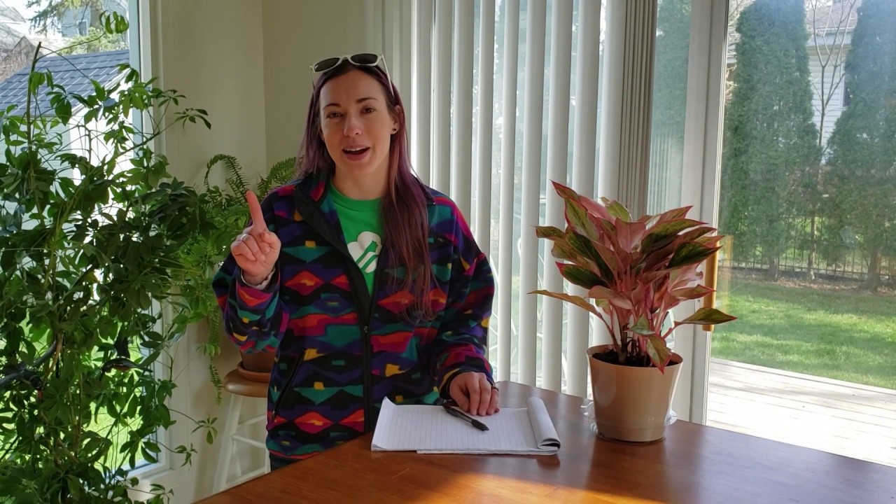 Leave No Trace Practices: Earth Day 2020 - YouTube