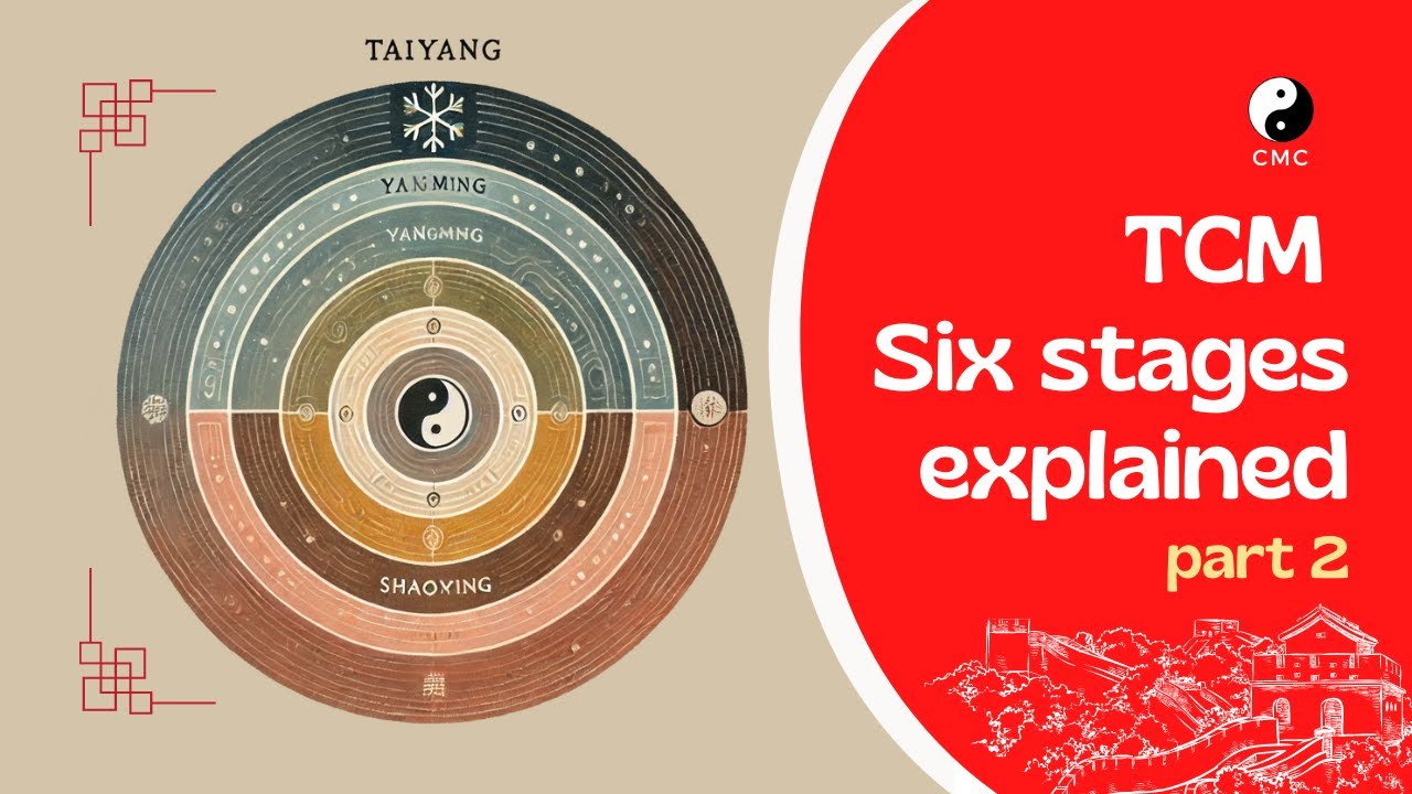 The Six Divisions: A Guide to Disease Progression in TCM - part 2 - YouTube