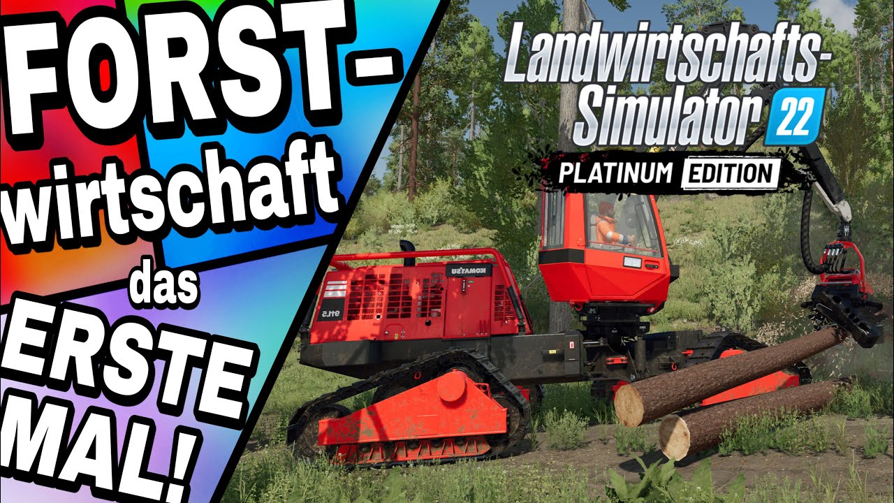 LS22 Forstwirtschaft als ANFÄNGER - Geld verdienen mit Sägewerk & mehr ...