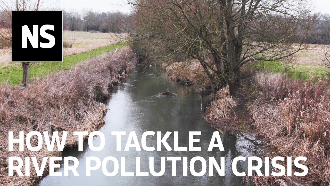 River pollution: How to tackle the "chemical cocktail" in England's ...