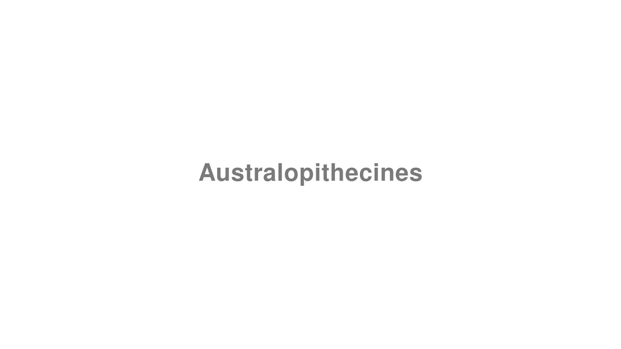 How to Pronounce "Australopithecines" - YouTube