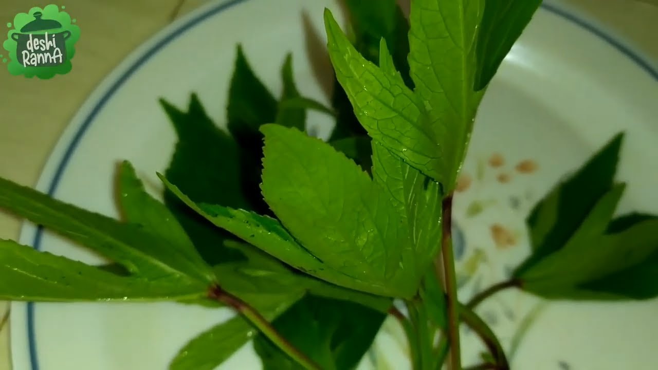 Tok Patha Recipe | চুকা পাতা টক শাক রেসিপি | Bangladeshi Tok Pata ...