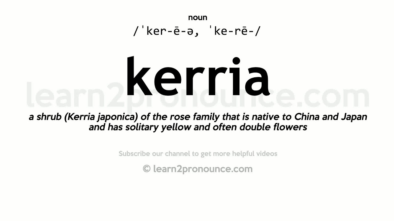 Pronunciation of Kerria | Definition of Kerria - YouTube