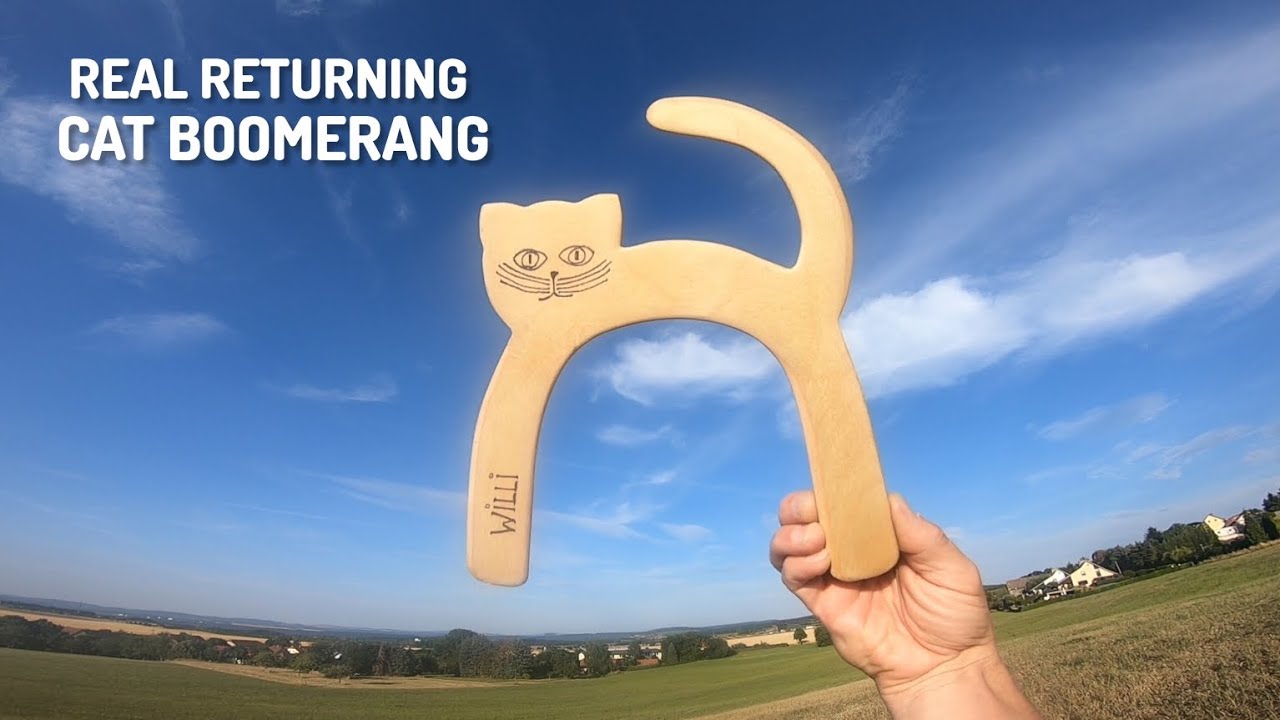 real returning CAT BOOMERANG 🪃 #boomerang - YouTube