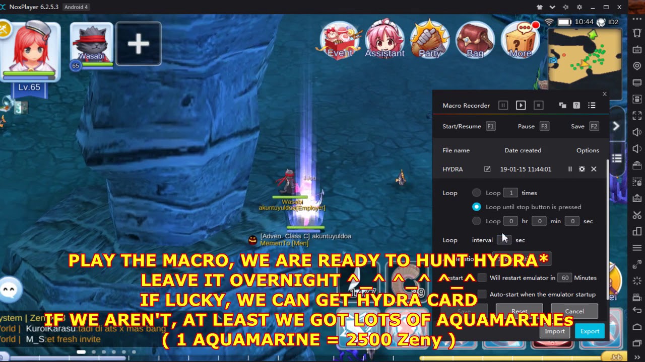 THE BEST WAY OF HUNTING HYDRA CARD AND AQUAMARINE - RAGNAROK M ETERNAL ...