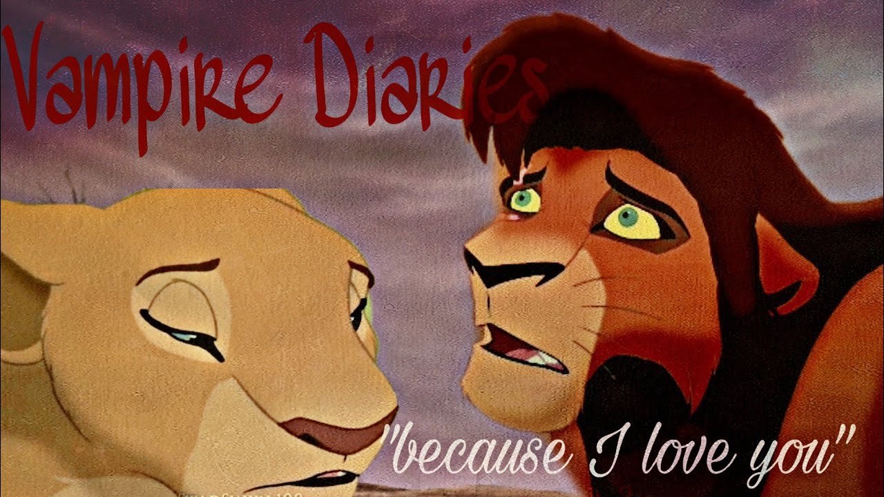 {Vampire Diaries} "Because I love you" [Lion king Version] - YouTube