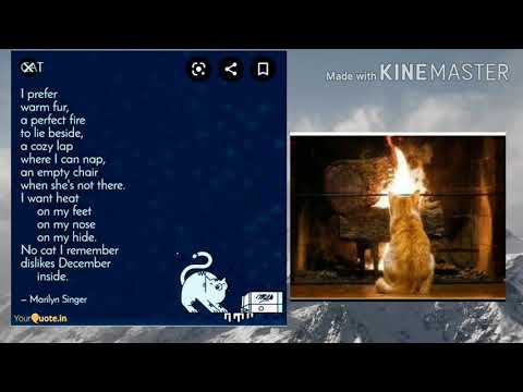 Class-1, English Rose Reader...Poem - Cat by Merilyn Singer(Explanation)