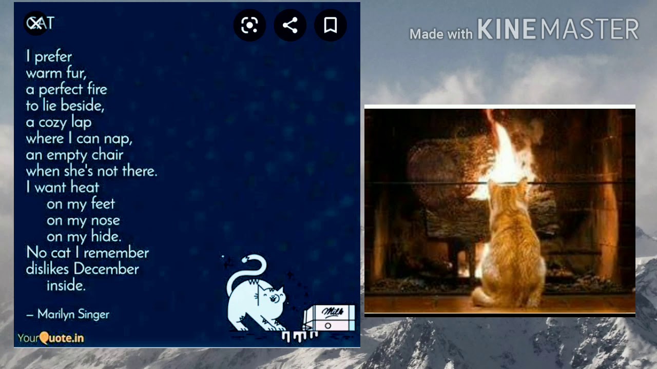 Class-1, English Rose Reader...Poem - Cat by Merilyn Singer(Explanation ...