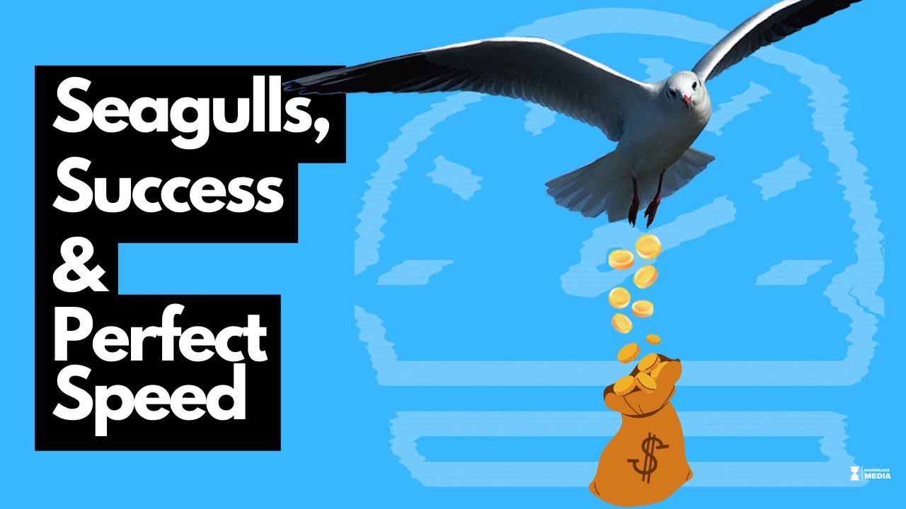 What Is Perfect Marketing Answered By A SEAGULL YouTube what-is-perfect-marketing-answered-by-a-seagull-youtube