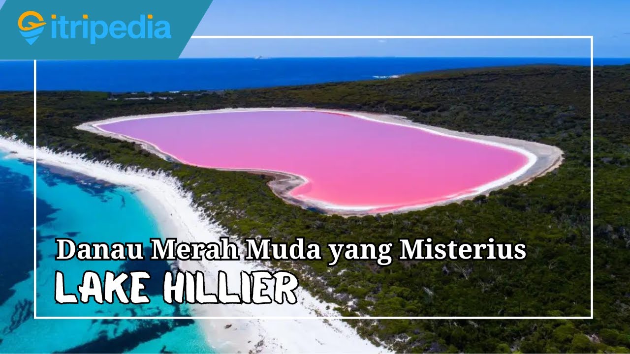 Lake Hillier, Danau Merah Muda yang Misterius di Australia Barat - YouTube