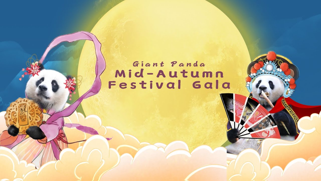 【Panda Troupe】Giant Panda Mid-Autumn Festival Gala | iPanda - YouTube