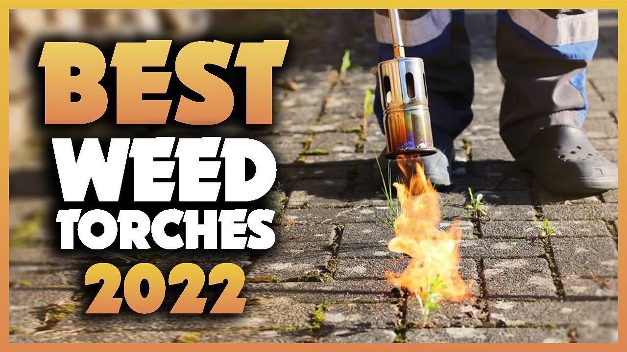 Top 5 Best Weed Torches You can Buy Right Now [2023] - YouTube