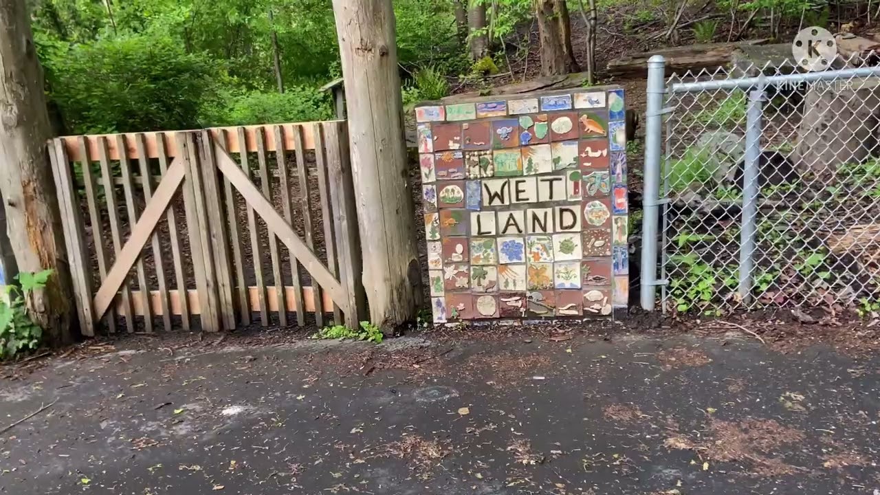 Seattle public school . Dearborn park - YouTube