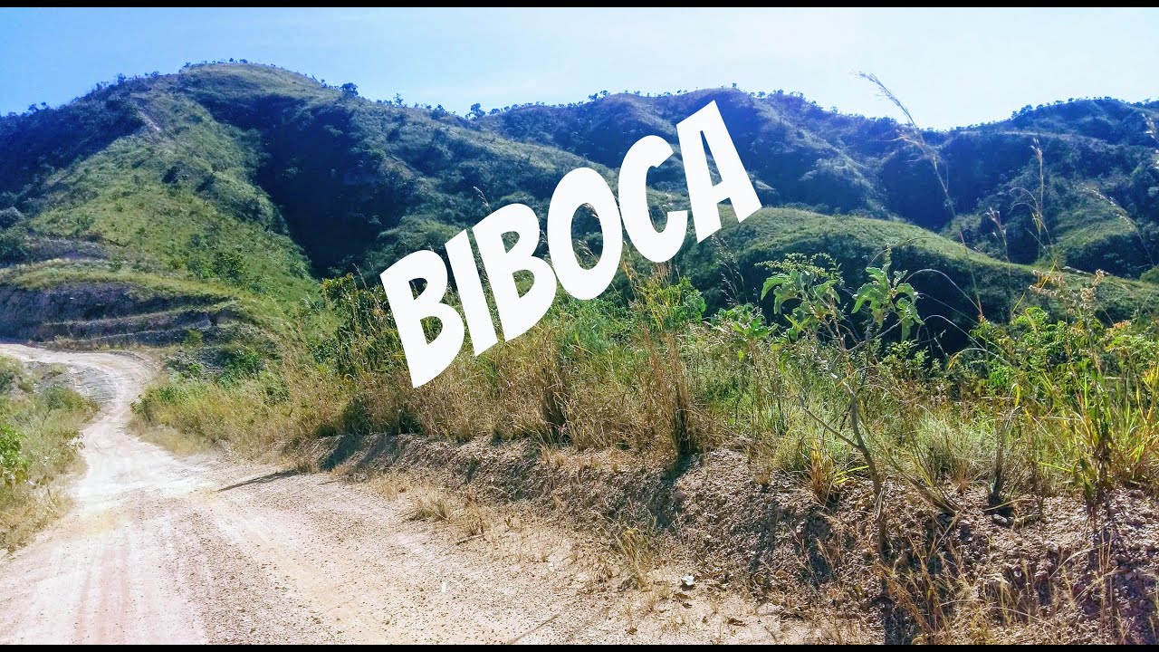 Biboca (bônus). - YouTube
