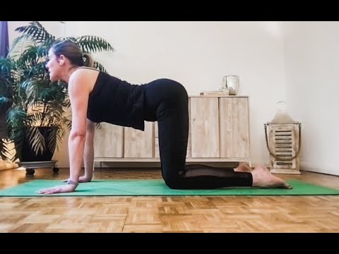 CAT COW POSE - YouTube