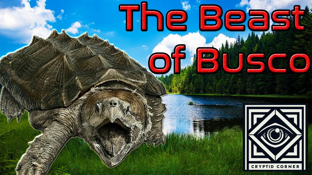 The Beast of Busco | Indiana’s Legendary Giant Turtle - YouTube