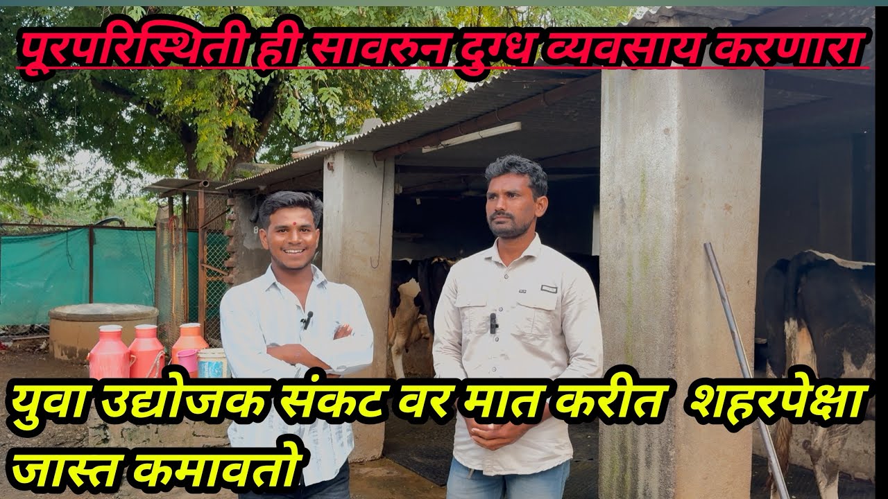 आधुनिक गाय पालन व्यवसाय |Cow Farming In marathi| How to start Cow Farm ...