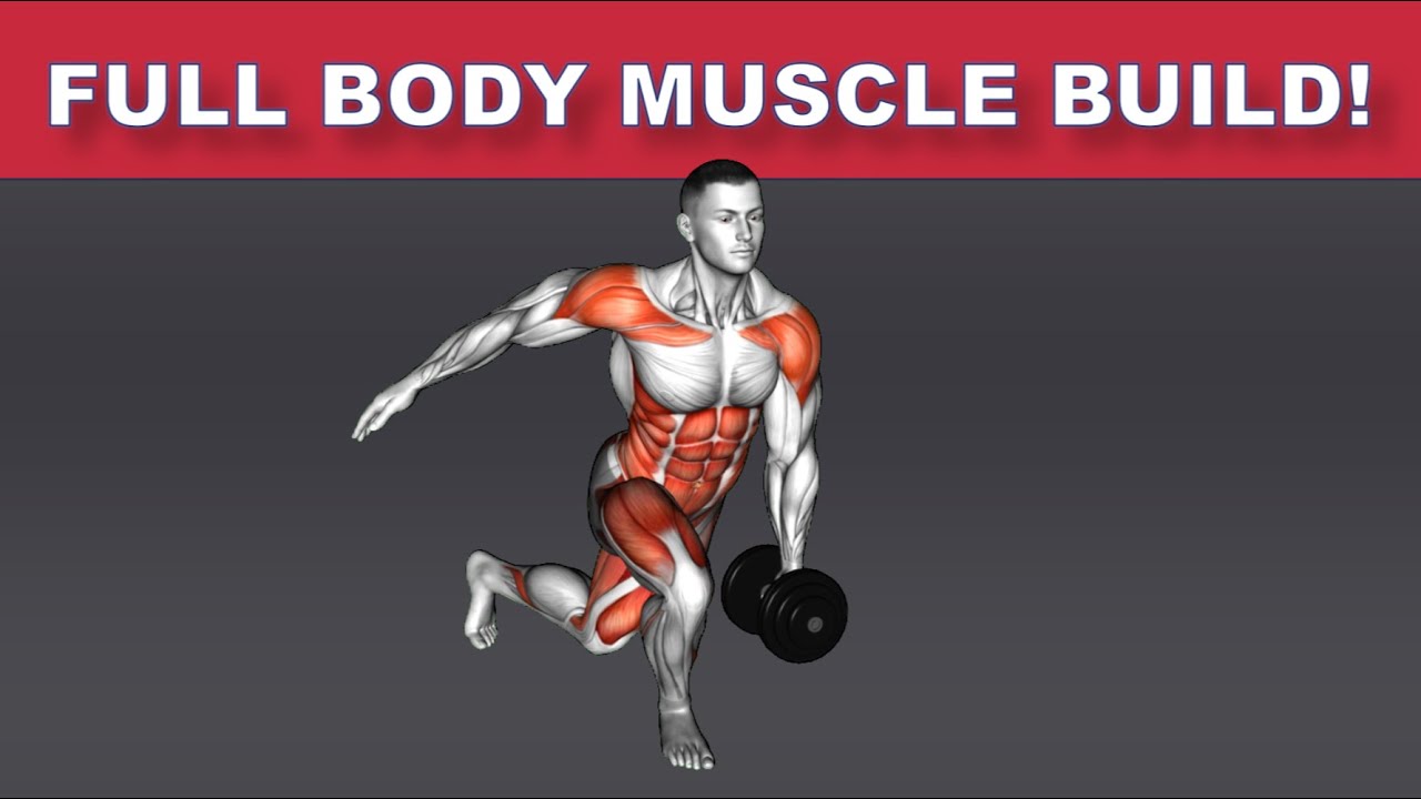 FULL BODY Muscle Build with CALORIE BLASTING Intensity! - YouTube