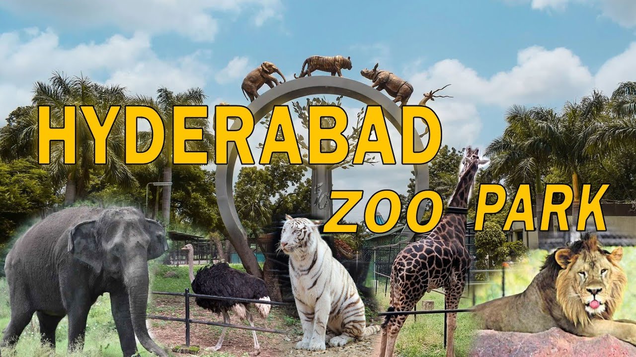 Hyderabad Zoo Park 😄 ll Wild Animals Complete Tour ll Sairaj Sahani ...