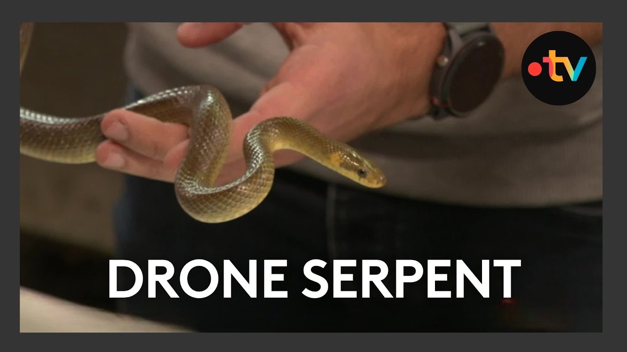 Dragon 2 : le tout premier robot-serpent qui pourrait remplacer changer ...