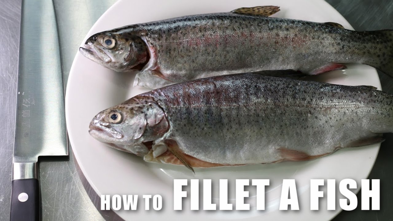 How To Fillet A Fish - HOOKED ON FRESH FISH - YouTube
