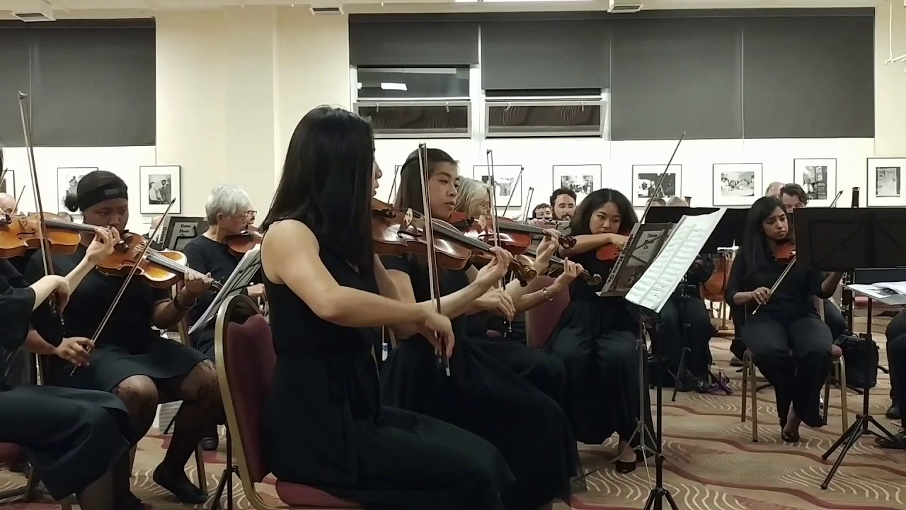 Haydn Cello Concerto No.2 in D major - SFCMA Summer 2017 - YouTube