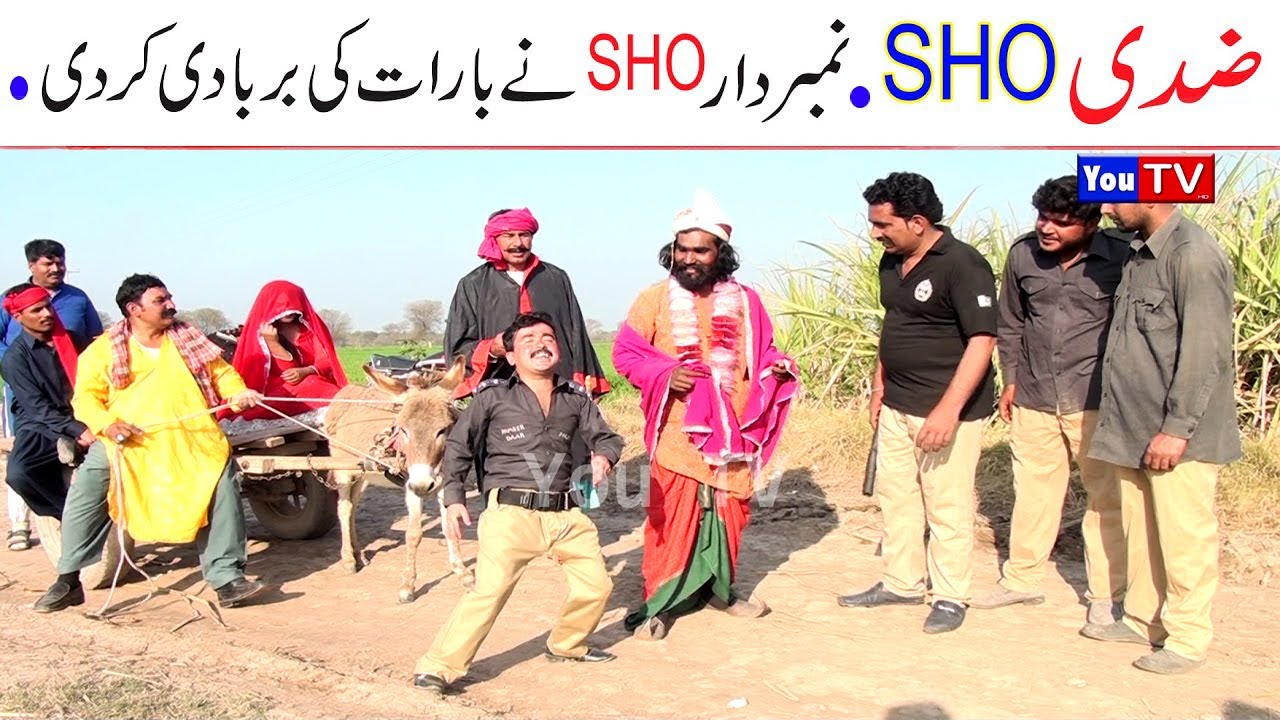 Number Daar Zidi SHO Funny Video | New Top Funny | Must Watch Top New ...