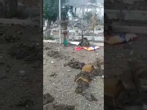 Azerbaycan Bayrak Çekti