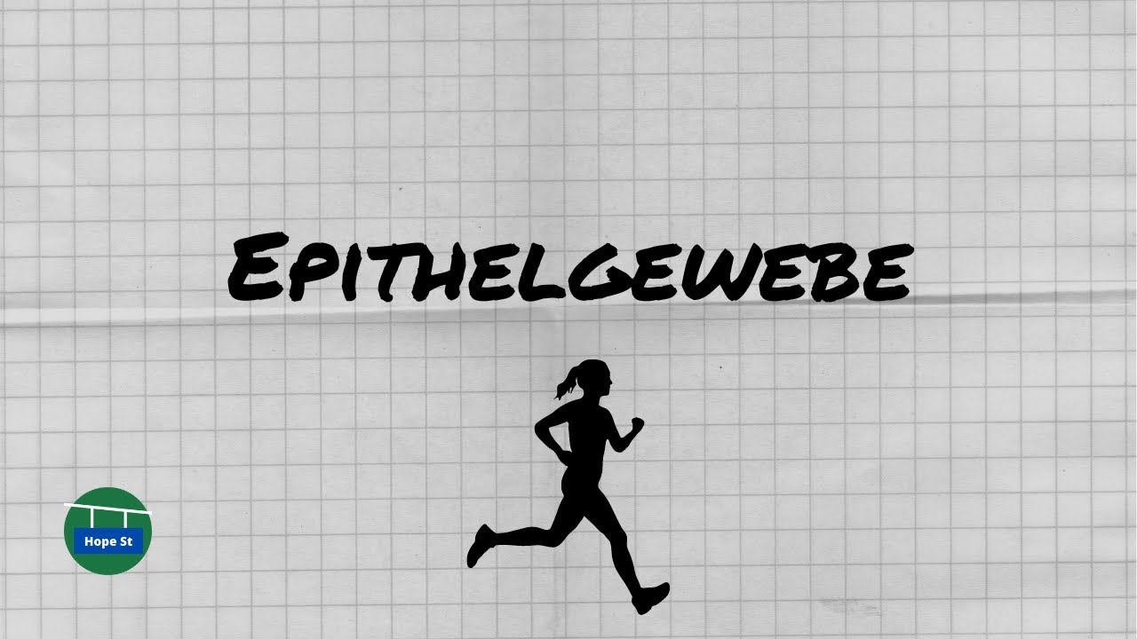 Epithelgewebe | Fortsetzung Gewebearten | einfach erklärt! - YouTube