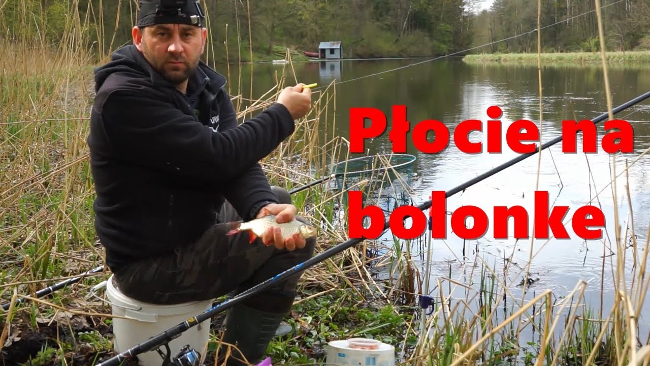 Zabawa z płociami na bolonke. Vlog 2 - YouTube