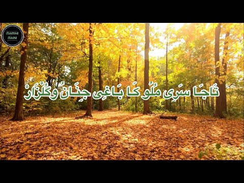 Taca Serê Müluka -Şeyh Muhammed Emin El-Hayderi’nin Şeyh Alaeddin Üzerine Yazdığı Kaside #kaside