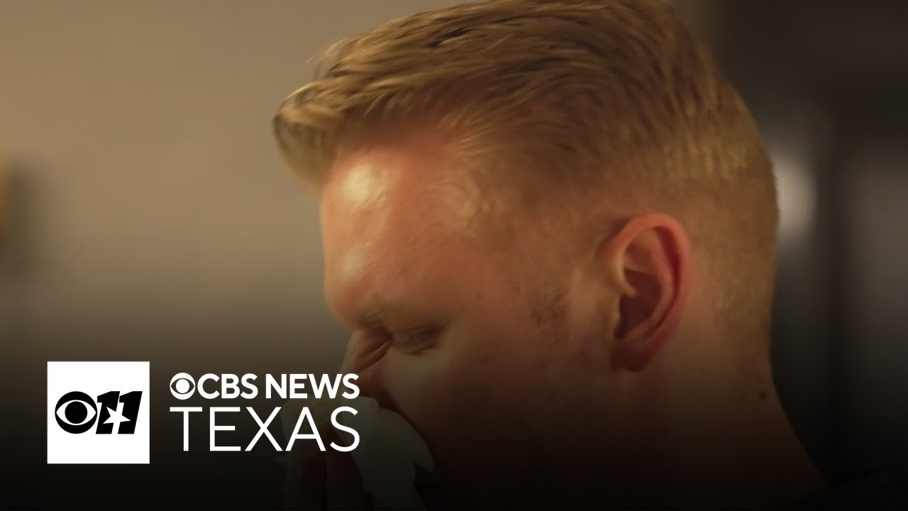 Flu cases in Texas at "very high" level, CDC says – What's Going Around ...
