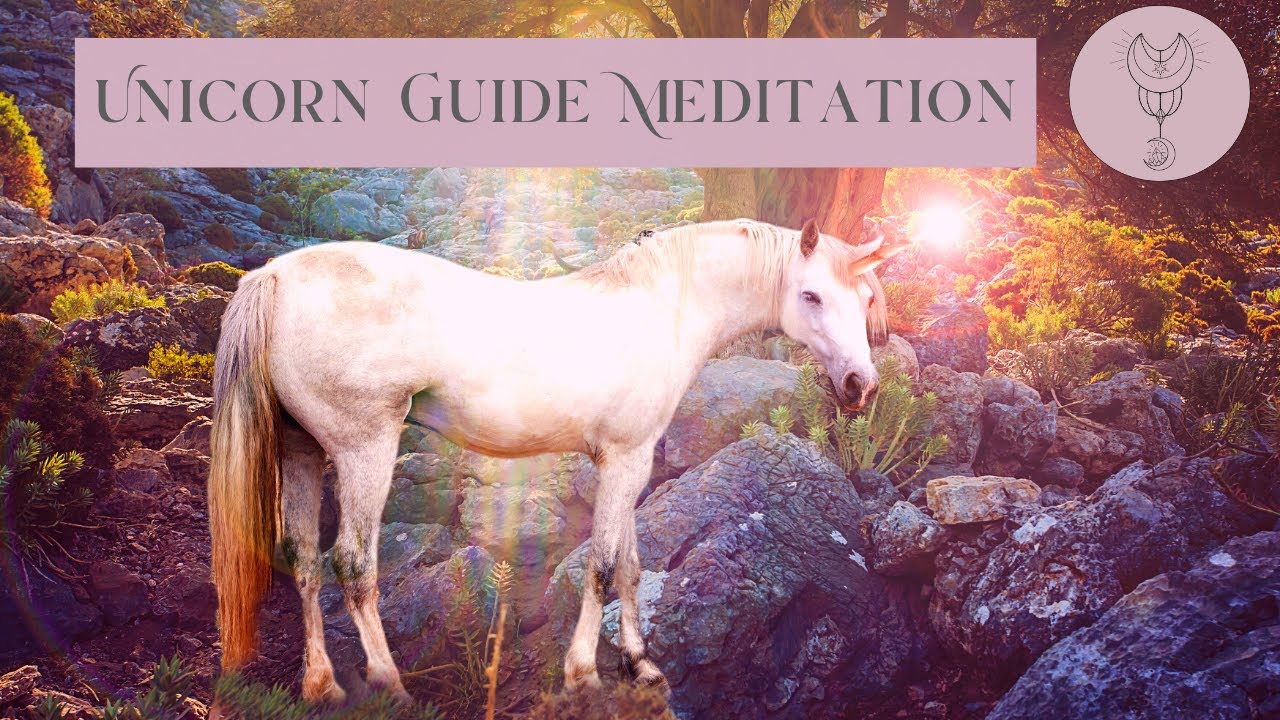 Unicorn Guide Meditation - YouTube