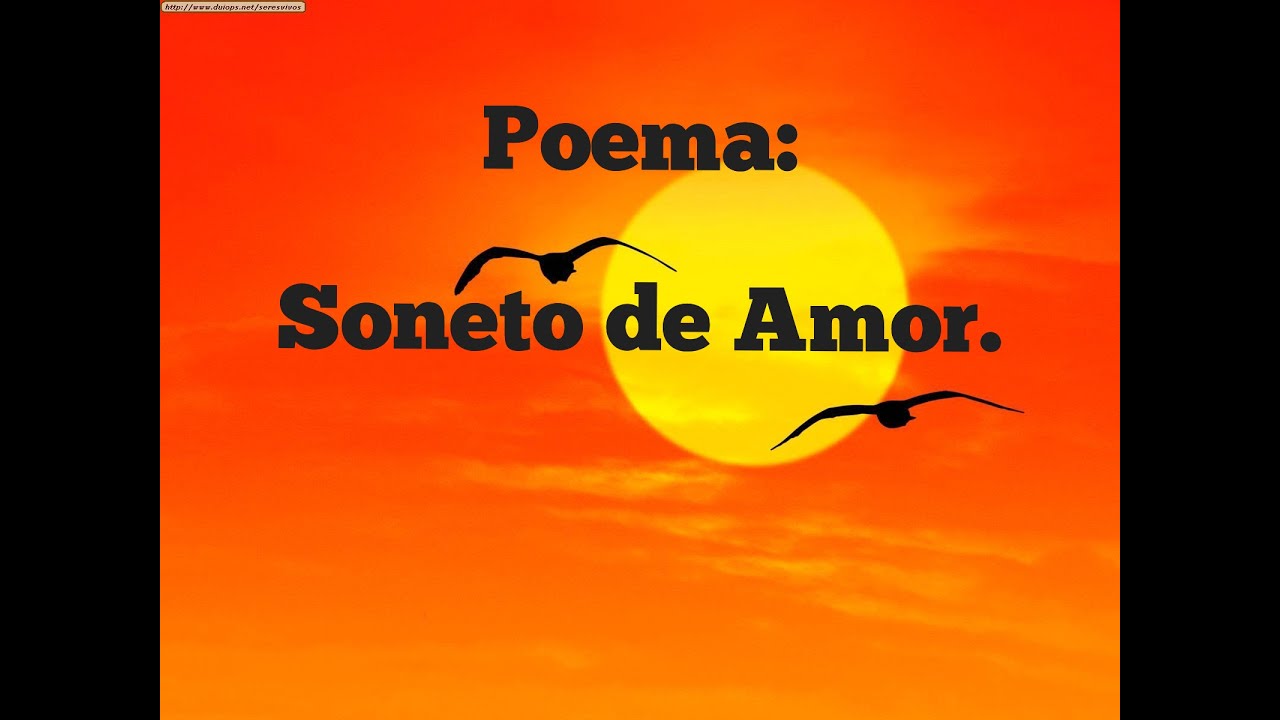 POEMA SONETO DE AMOR(Poemas y frases de amor) - YouTube