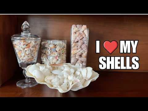 What does a seashell collection look like? I shell every week and I'll share what I keep.