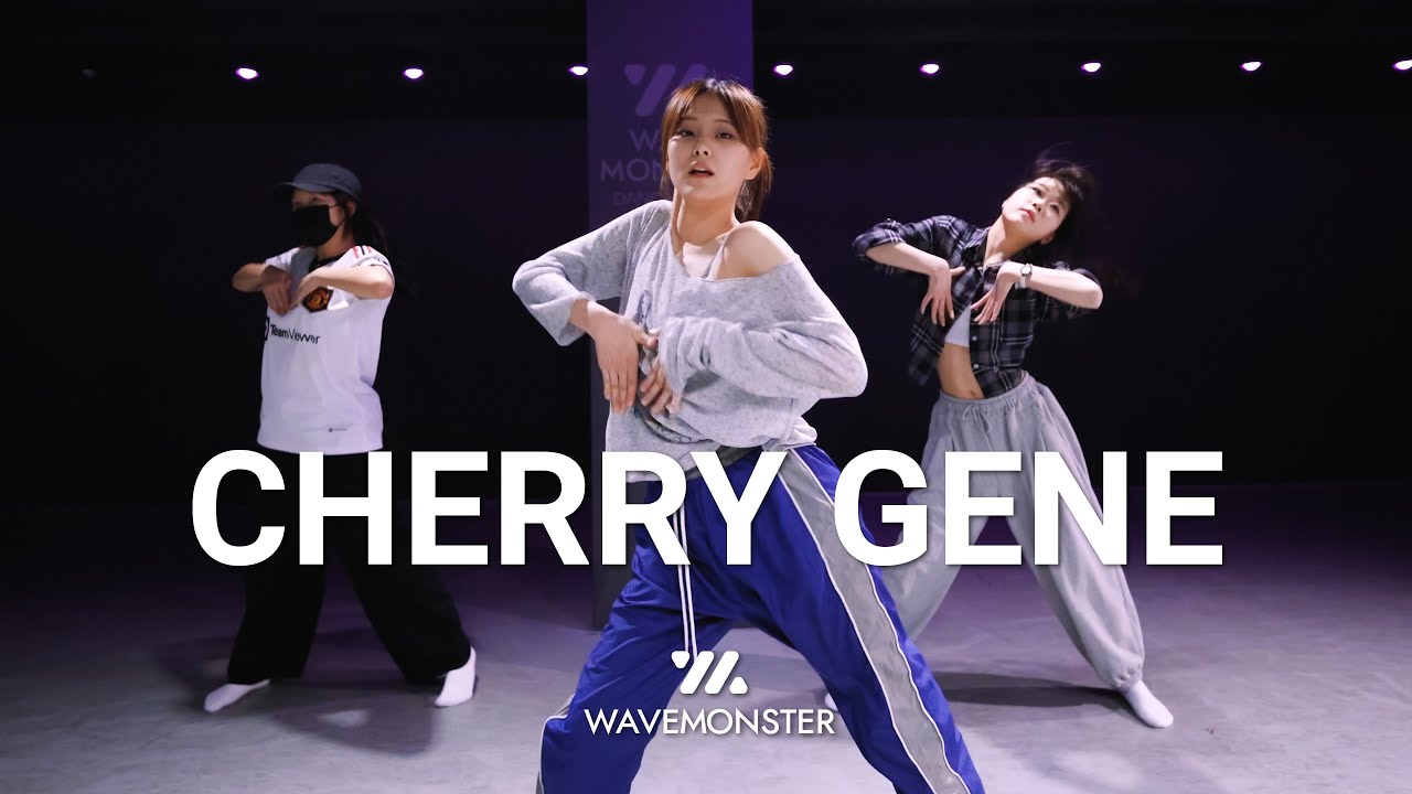 Cherry Gene 'Hy-Fluid Mix' - 트리플에스(tripleS Acid Eyes) | XEMIN ...