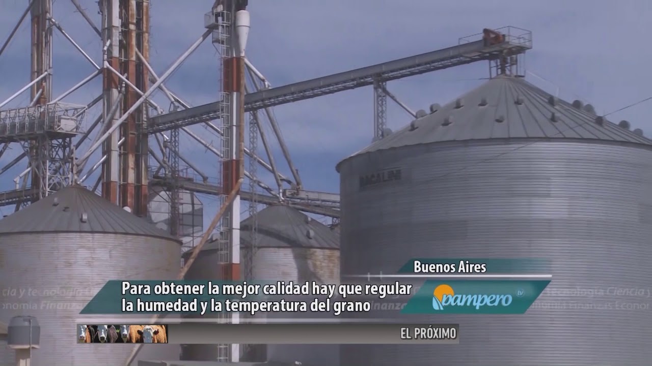 ¿Cómo mejoramos la conservación de granos? - YouTube