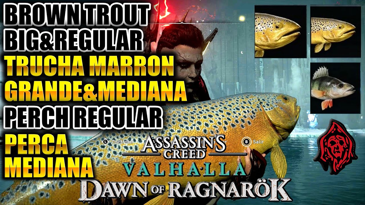 AC DAWN OF RAGNAROK BROWN TROUT BIG&REGULAR/PERCH REGULAR/TRUCHA MARRON ...