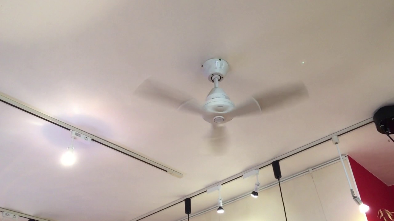 Daiko brand "Spinner" type ceiling fans in a cafe - YouTube