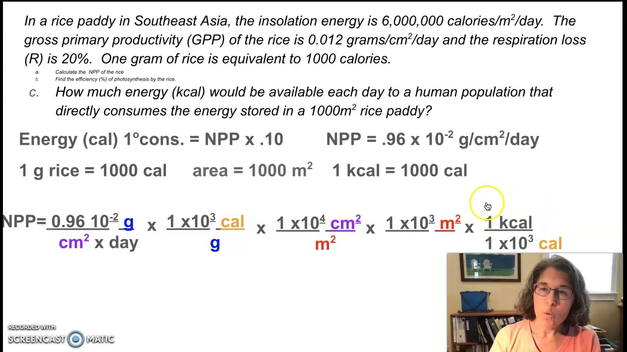 APES Ecosystem Energy Problems Part C D YouTube apes-ecosystem-energy-problems-part-c-d-youtube