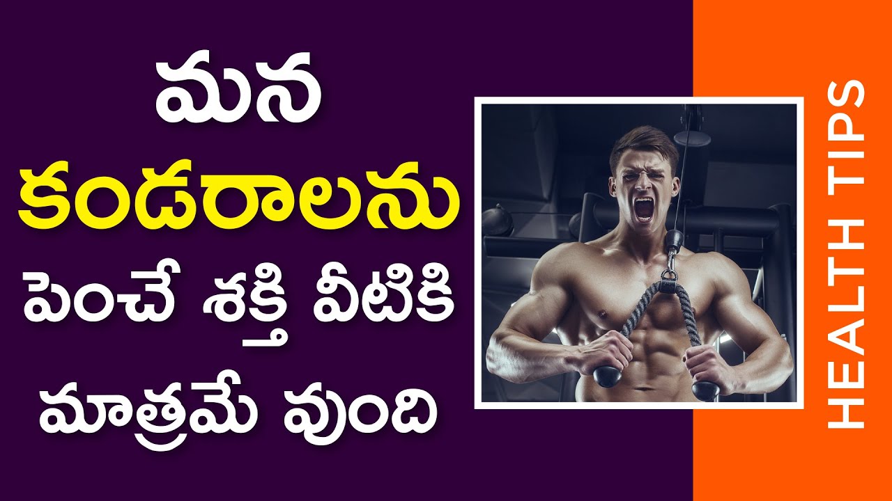 Body Building Tips? | Telugu Mission Healthy | Health Tips in Telugu ...