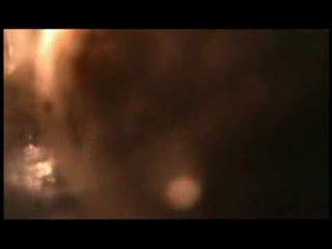 Inside a snake - YouTube